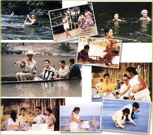 HIS MAJESTY KING BHUMIBOL ADULYADEJ – Implementer Limited